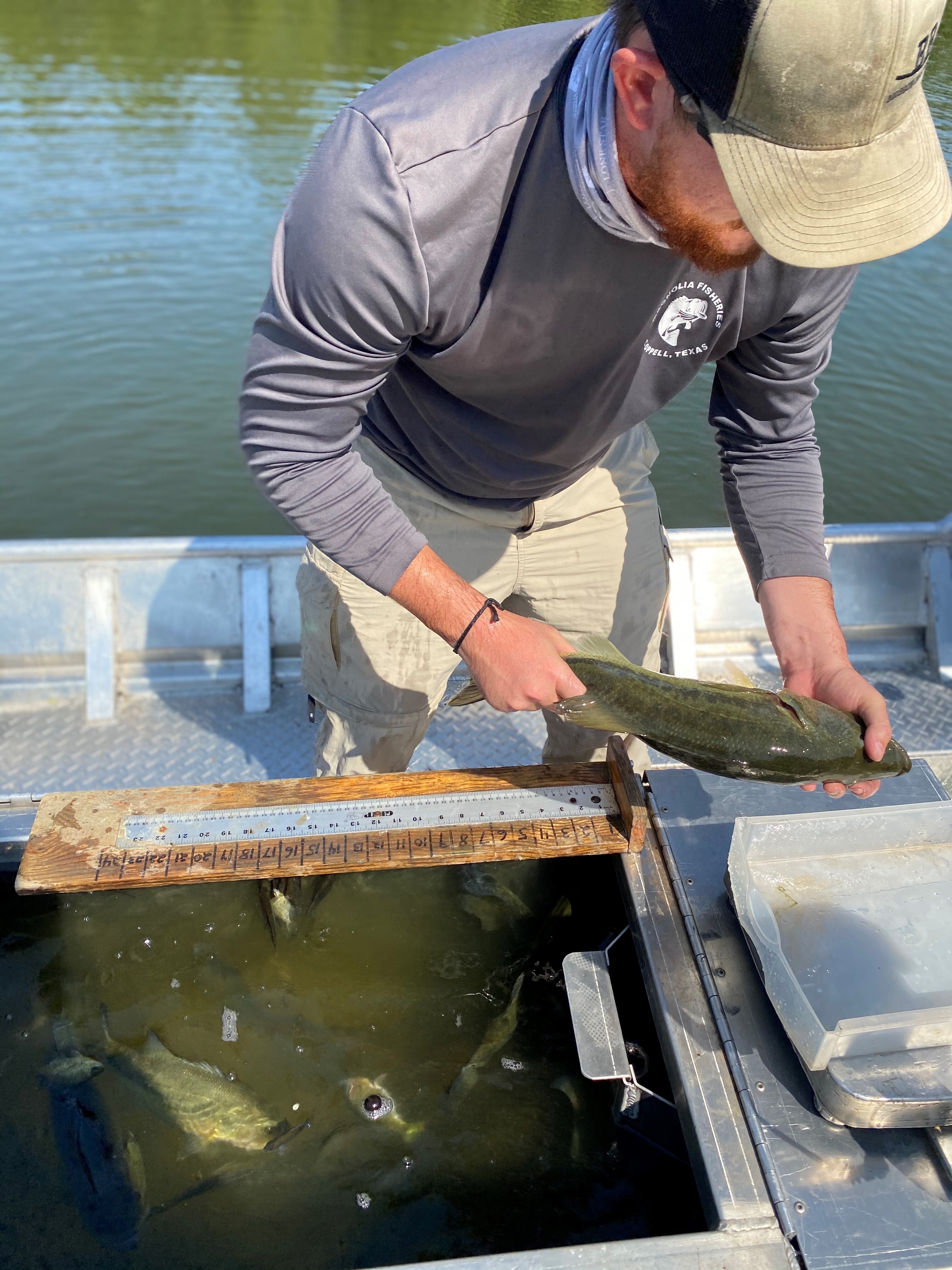 Fish tale: The shocking tale of electrofishing - Kinute