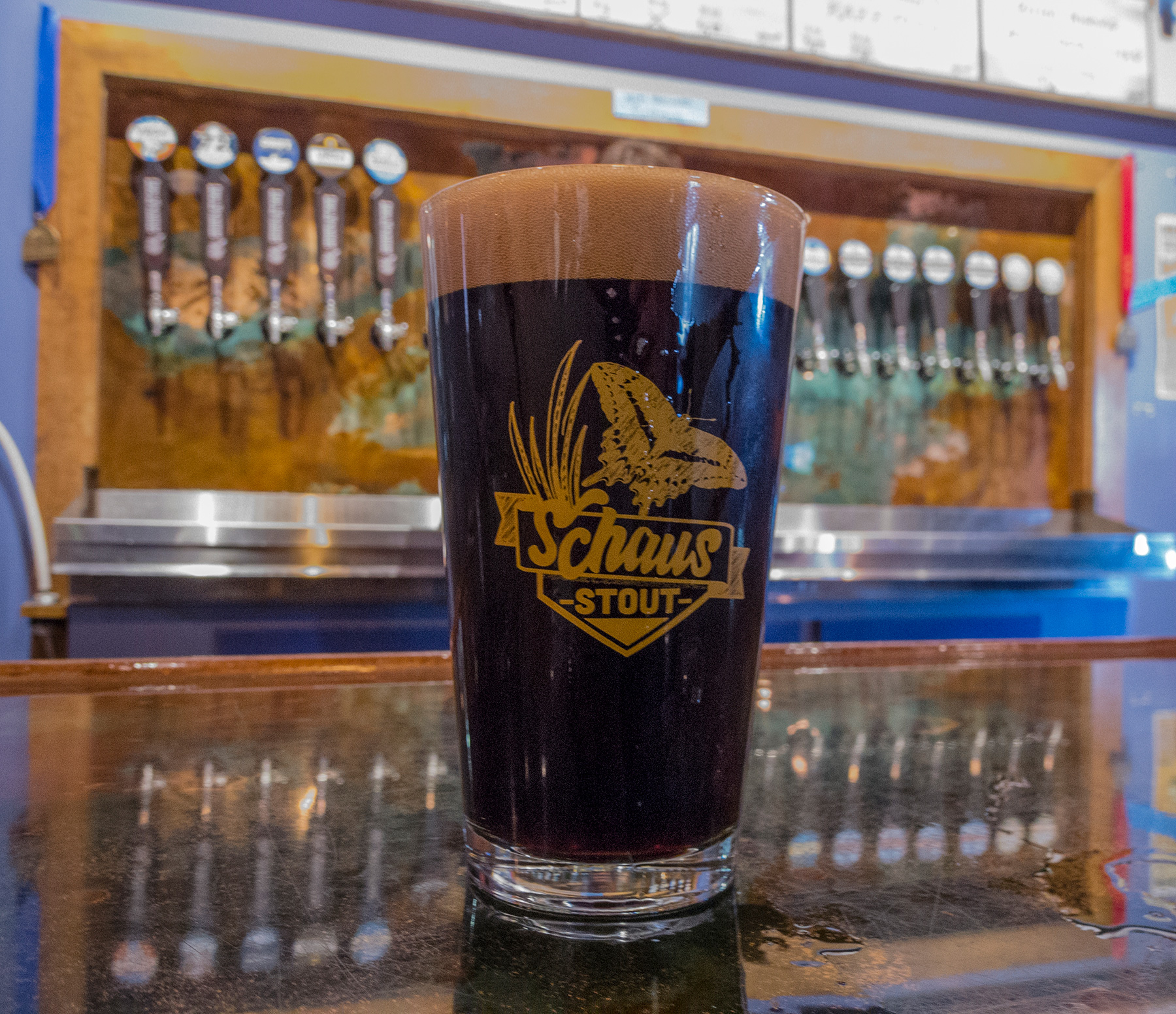 Beer for Butterflies: Dr. Jaret Daniels' initiative for butterfly ...