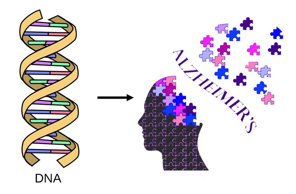 Reimagining Alzheimer’s (Part 6): The Many Effects Of The APOE4 Variant | Current Science Daily