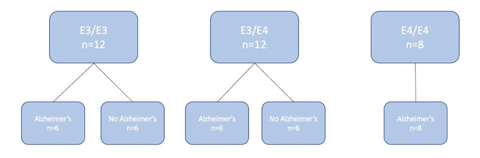 Reimagining Alzheimer’s (Part 6): The Many Effects Of The APOE4 Variant ...