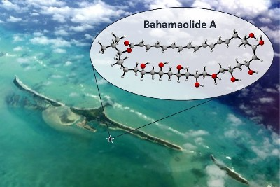 Scientists Invent Pioneering Technique to Construct Rare Molecules ...