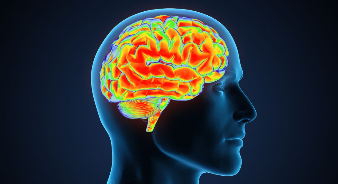 Excessive Brain Fluid Can Lead to Risky Surgery. New Research Seeks to ...