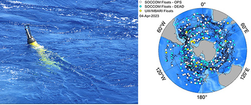 One Of The Planet’s Most Important Carbon Sinks Is Revealing Its ...