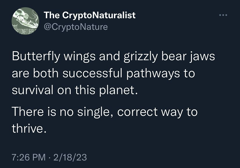In Conversation with Jarod K. Anderson, The CryptoNaturalist - Kinute