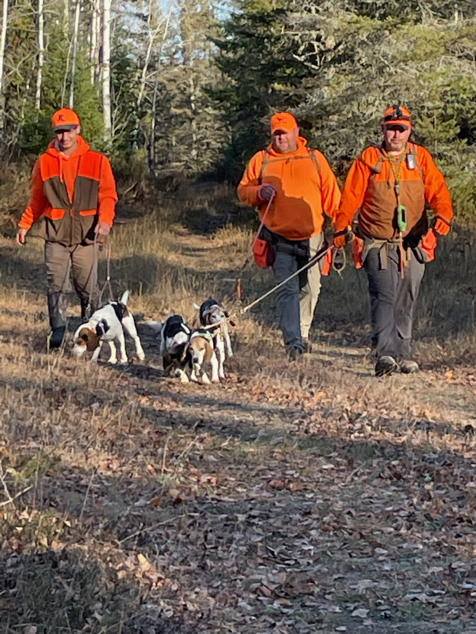Abundant opportunities await Ohio’s small game hunters | Mount Vernon News