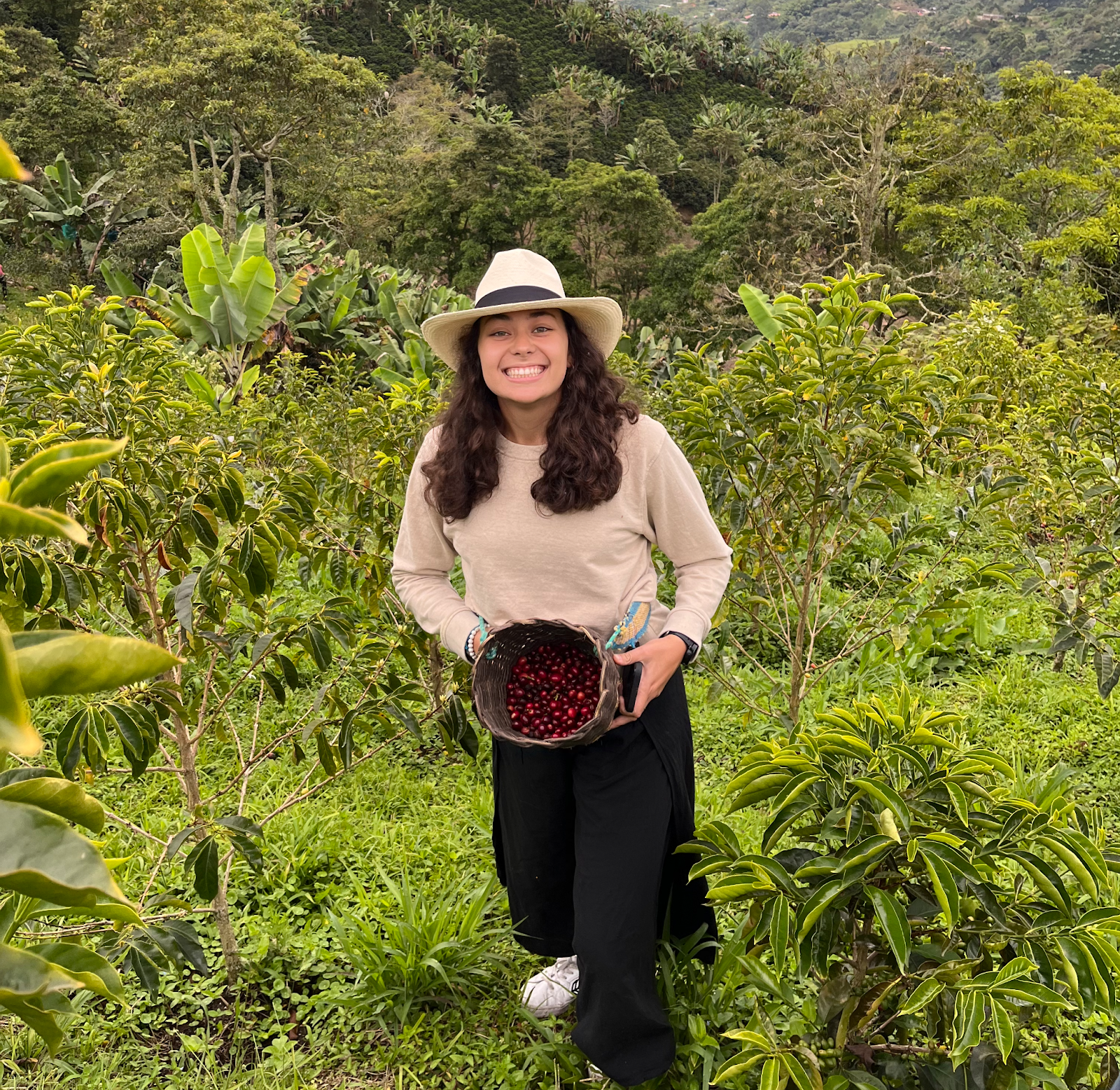 Unseen Stories: The Last Campesinos of Colombia's Coffee Heartland | Kinute