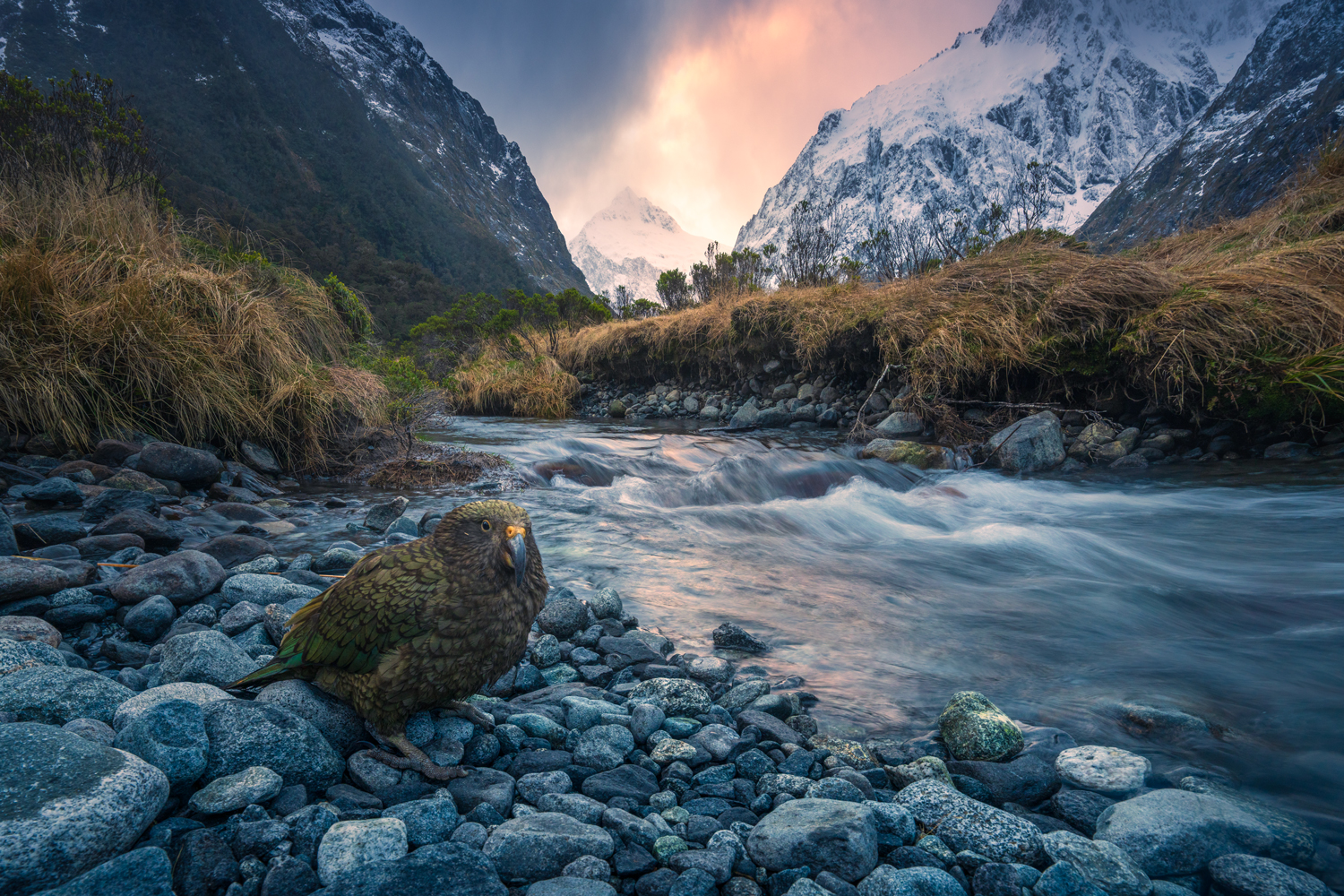 Behind the Lens: A Conversation with Landscape Photographer William ...