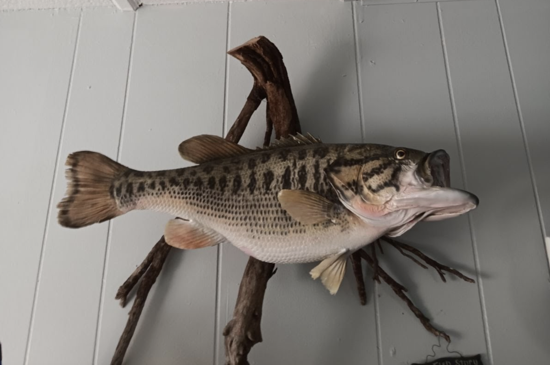 84-year-old Keen describes Ariel Park fishing: ‘It is really the best ...