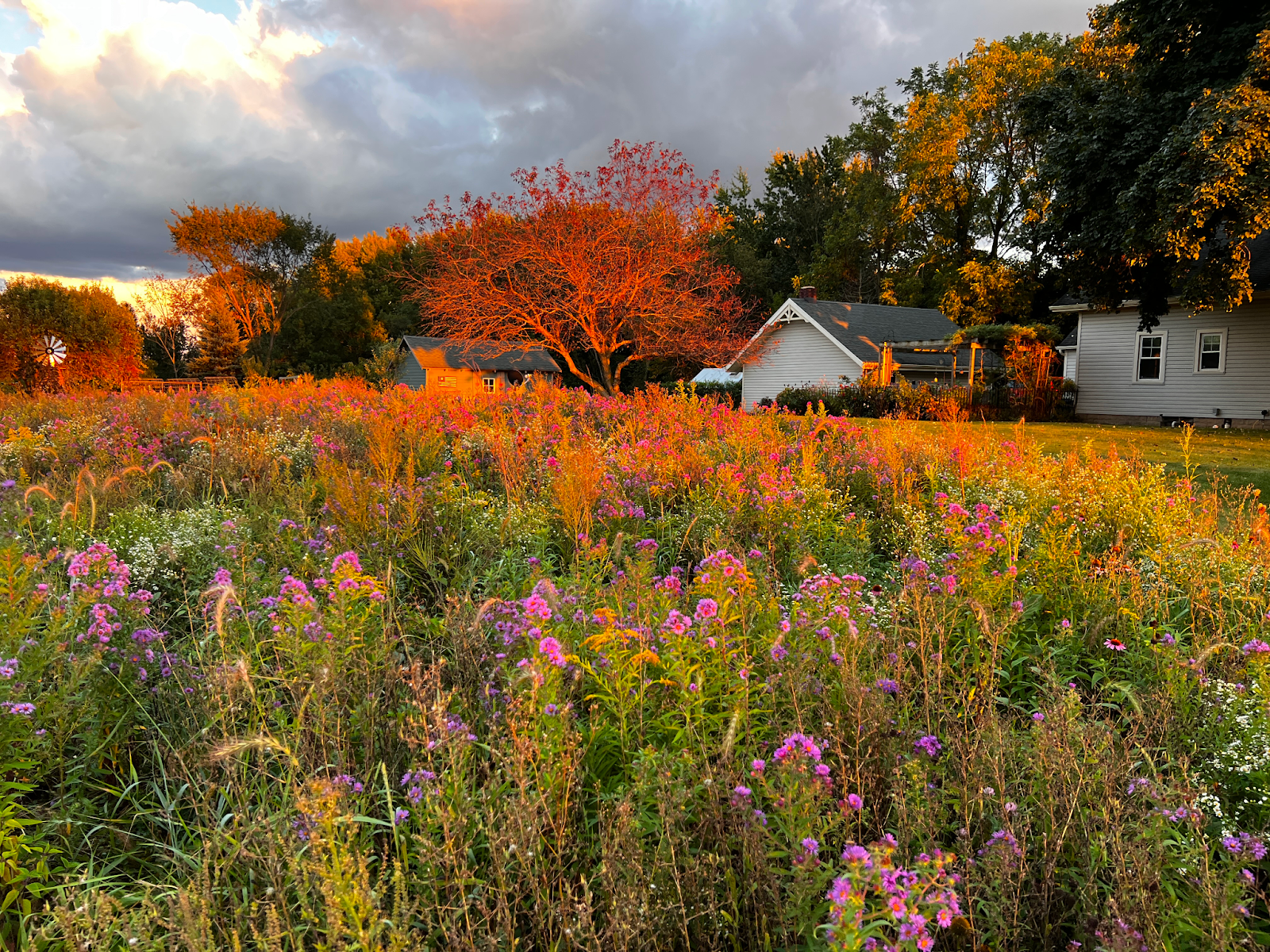 Homegrown National Park Guides Individuals to Action in Combating the ...