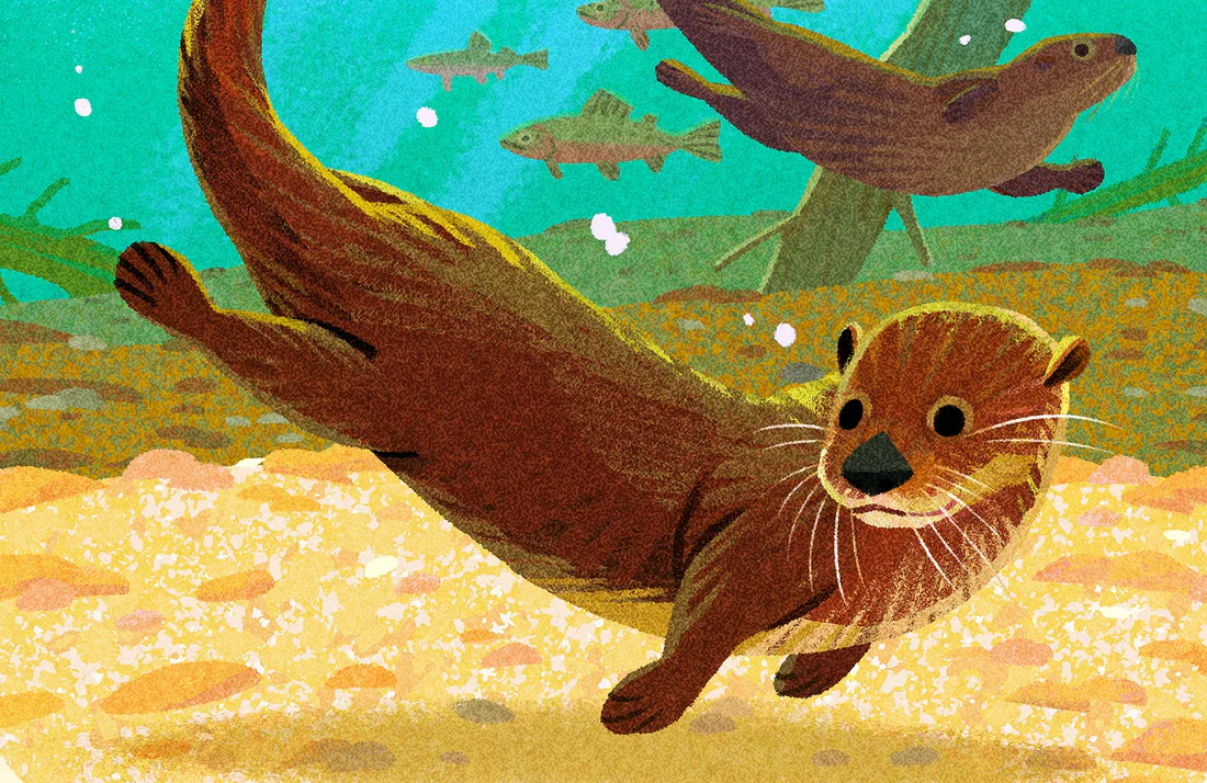 Book Talk: ‘Animals of the National Parks’ with Fifty-Nine Parks - Kinute