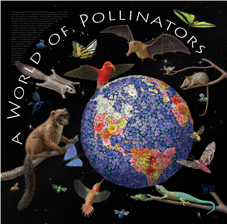 Preserve, Protect, Pollinate: A Conversation with Pollinator ...
