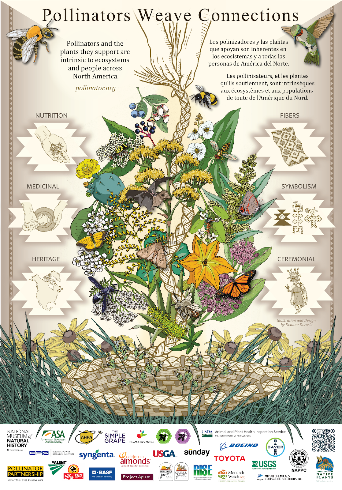 Preserve, Protect, Pollinate: A Conversation with Pollinator ...