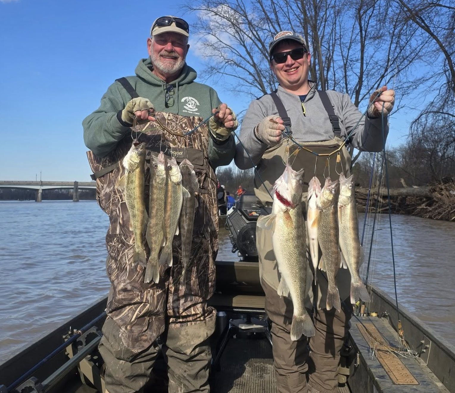 Historic Walleye Run Expected On Maumee River For 2026 Season Mount