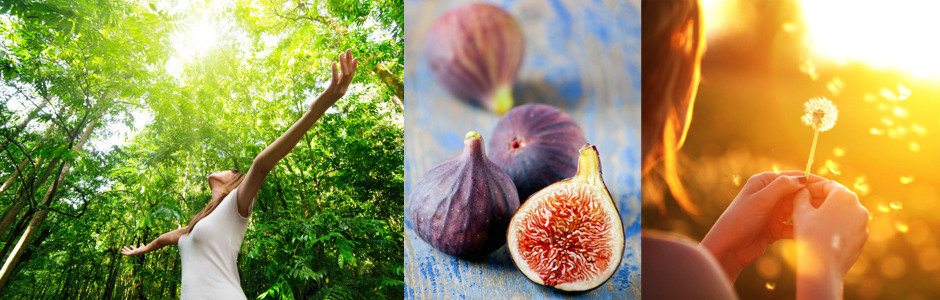 Dr. Amanda Baten | Licensed Clinical & Nutritional Psychologist | New ...