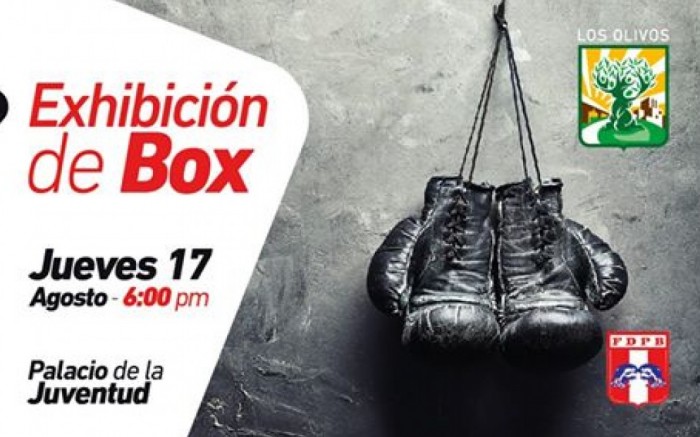 EXHIBICIÓN DE BOXEO EN EL PALACIO DE LA JUVENTUD | Joinnus
