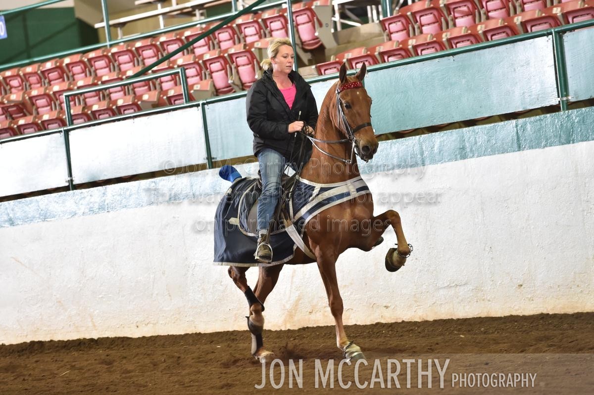 2015 Raleigh Invitational - Horse Show Proofs - 2015 Shows ...