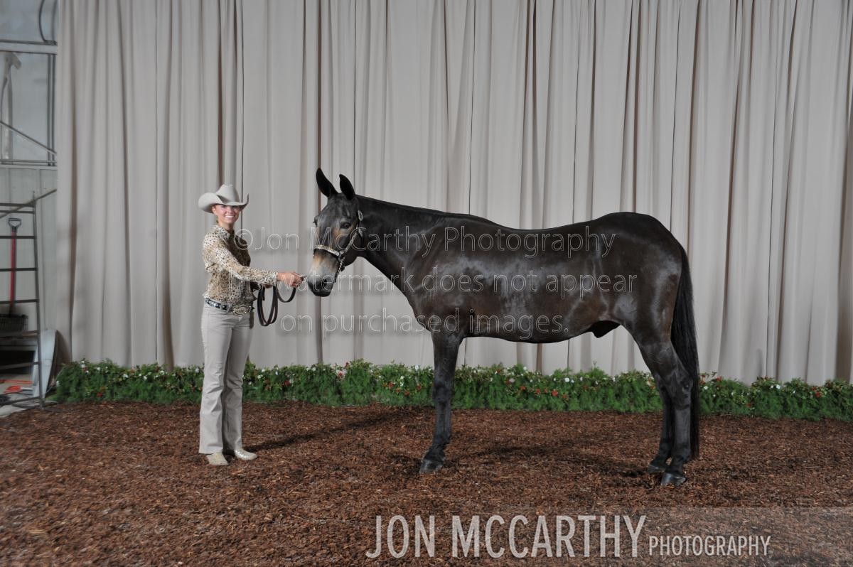 2015 Celebration Mule and Donkey - Horse Show Proofs - 2015 Horse Shows ...