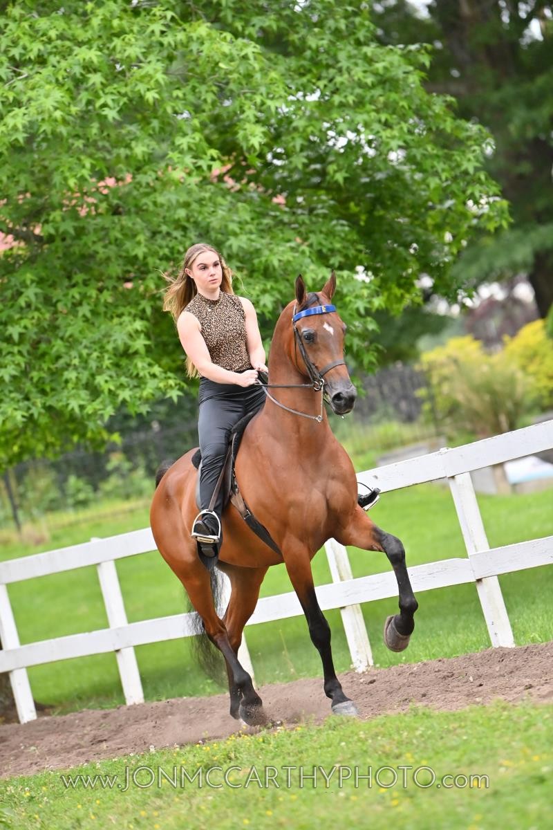 ChriShan Park Arabians - Farm Shoots - 2022 Farm Shoots ...