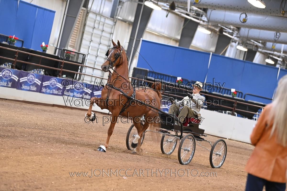2023 Madison Classic - SUNDAY MORNING - MAY 28 - 129 - Three Gaited ...