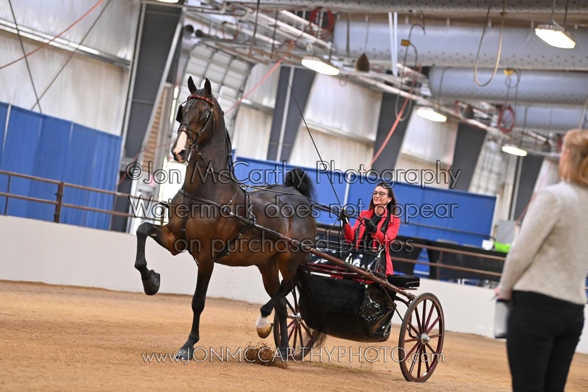 2024 Wisconsin Futurity Horse Show - Horse Show Proofs - 2024 Horse ...