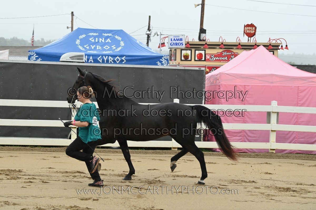 2025 Deerfield Fair - THURSDAY EVENING - SEPT 25 - Horse Show Proofs ...