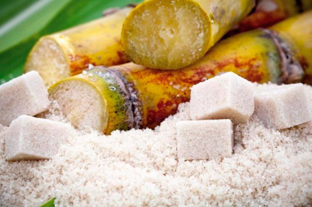 Caña de azúcar y sorgo grano impulsan el crecimiento de producción ...