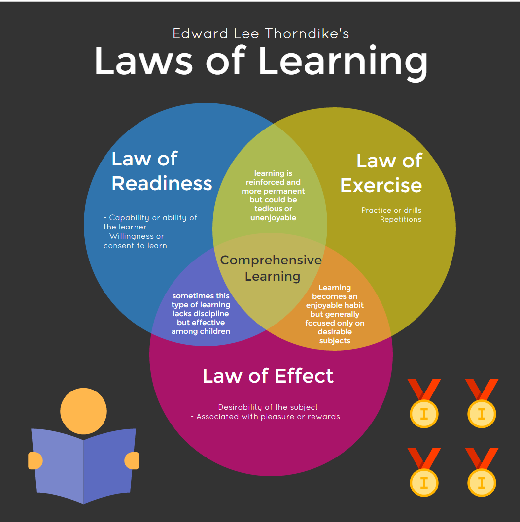 Understanding the Learning Curve: Key Insights and Applications – Learn ...