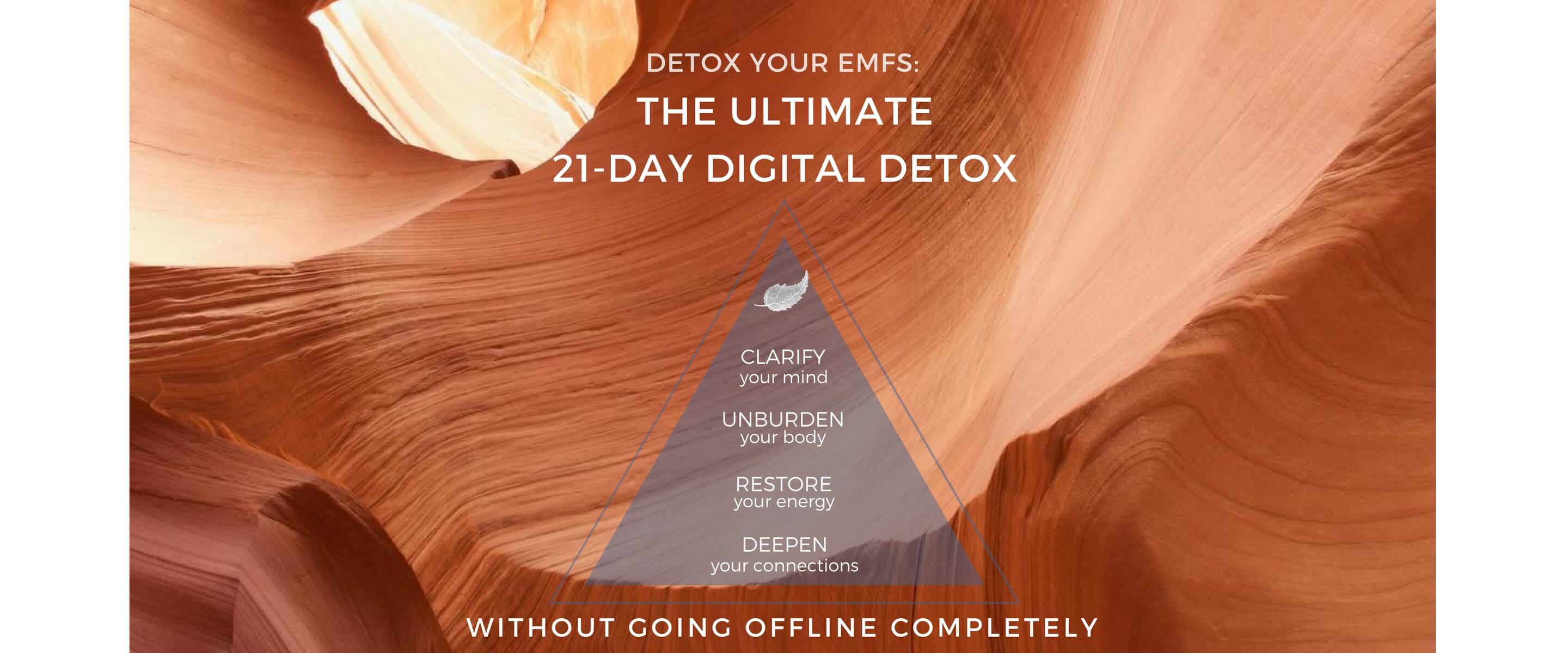 The Dangers of Microwave Radiation & How To Reduce Your Exposure