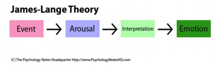 Emotion Science Notes - ToK