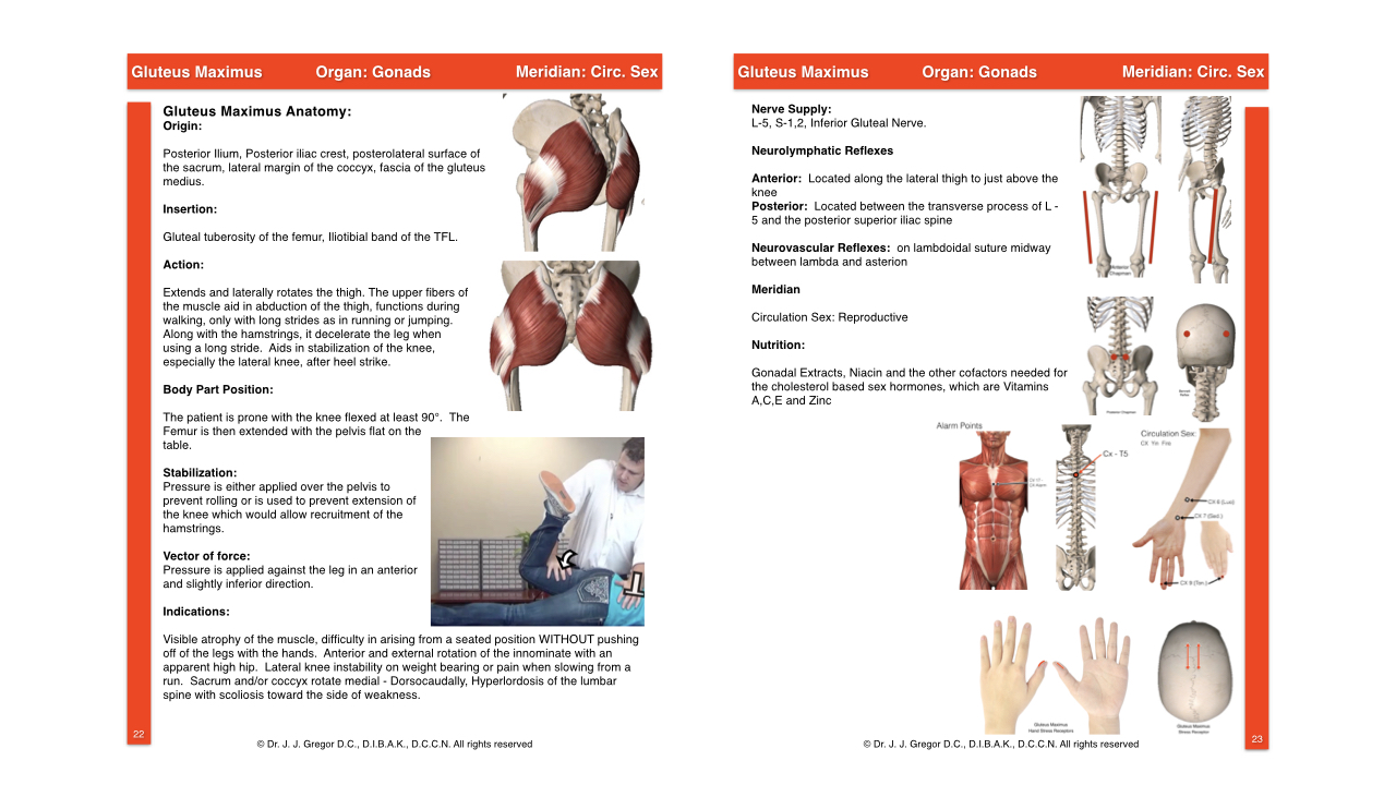 Muscle Testing Workbook