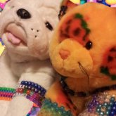 Kandi-Animals by RemainViolent - Kandi Photos on Kandi Patterns