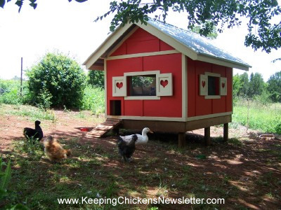 Red Chicken House | Keeping Chickens Newsletter