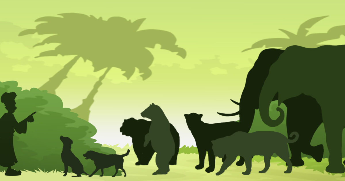 Adam Names the Animals | Audio Bible Stories | Kids Corner