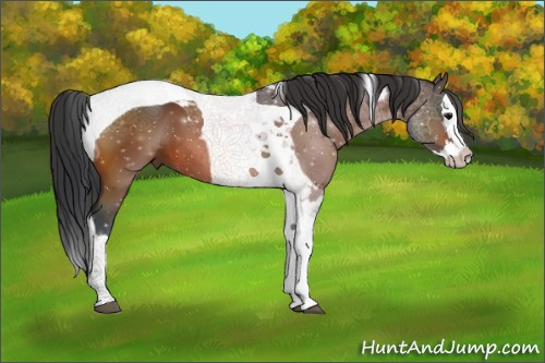 G4 A Variety | HuntAndJump.com