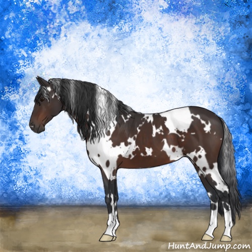 LS AH Chasing the Dream | HuntAndJump.com