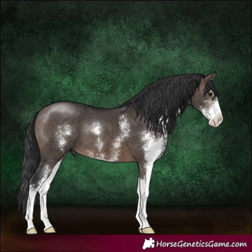 BRR Streets Ignite DPCAP | HorseGeneticsGame.com