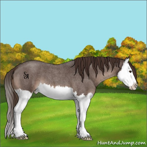 3g Br Begin Cat | HuntAndJump.com