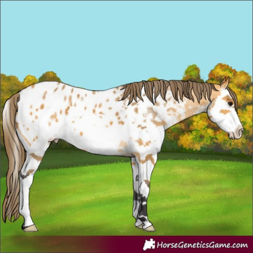 Rogue Kick Savannah | HuntAndJump.com