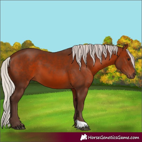 RJ Madison Stick | HuntAndJump.com