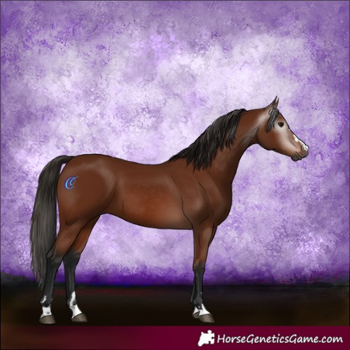 Record Missing | HuntAndJump.com