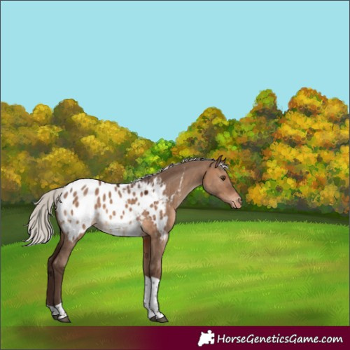 E2S2 3530410 AI45 | HorseGeneticsGame.com