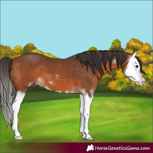 Rogue Velvet Grateful | HuntAndJump.com