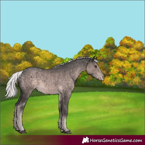 4g Bav Bugs Baroness Viper | HuntAndJump.com