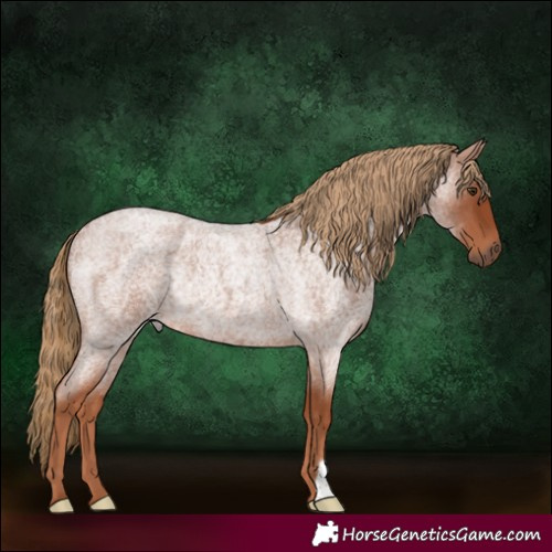 Athansor | HorseGeneticsGame.com