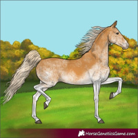 KT Callistos Instrumental | HorseGeneticsGame.com