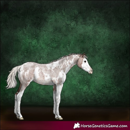 Bloodline | HorseGeneticsGame.com
