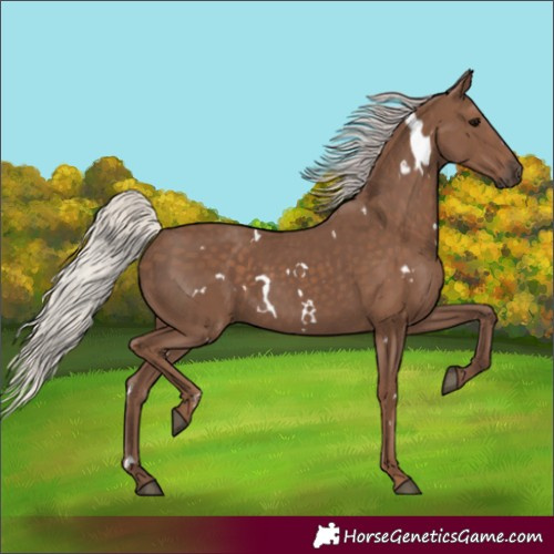 KT High Water Goddess | HorseGeneticsGame.com