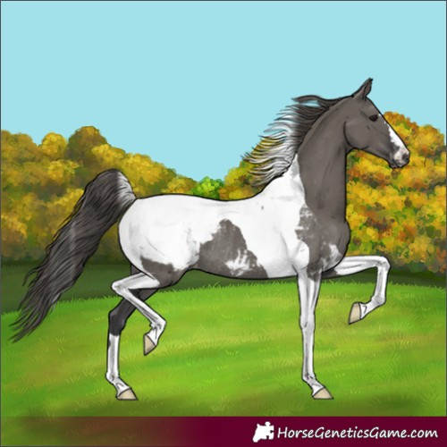 KT Out To Infinity | HorseGeneticsGame.com