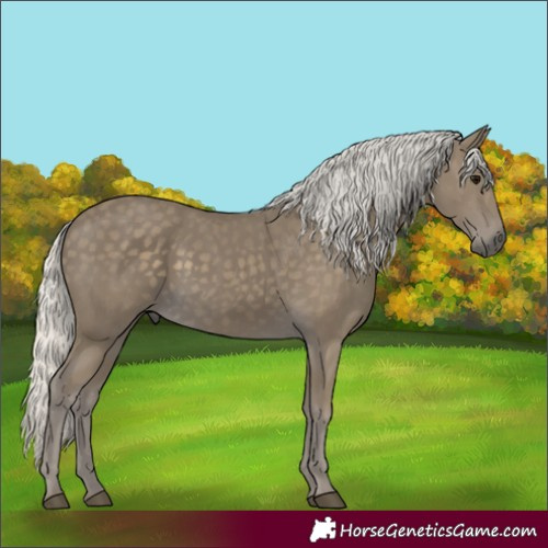 Sliver Line | HorseGeneticsGame.com
