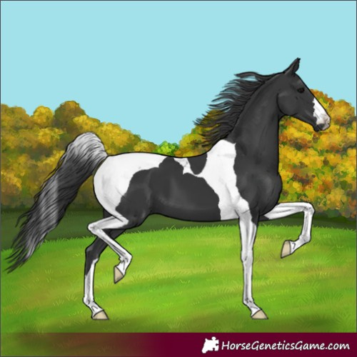KT Snow Fire | HorseGeneticsGame.com